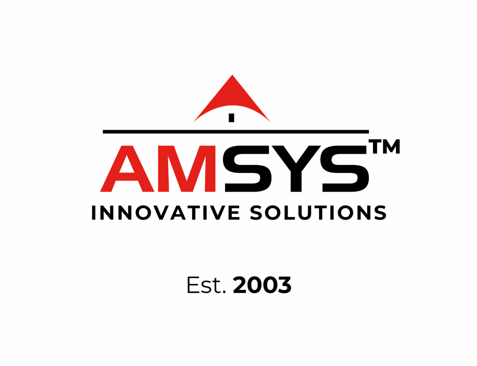 Home - AMSYS ™ Group